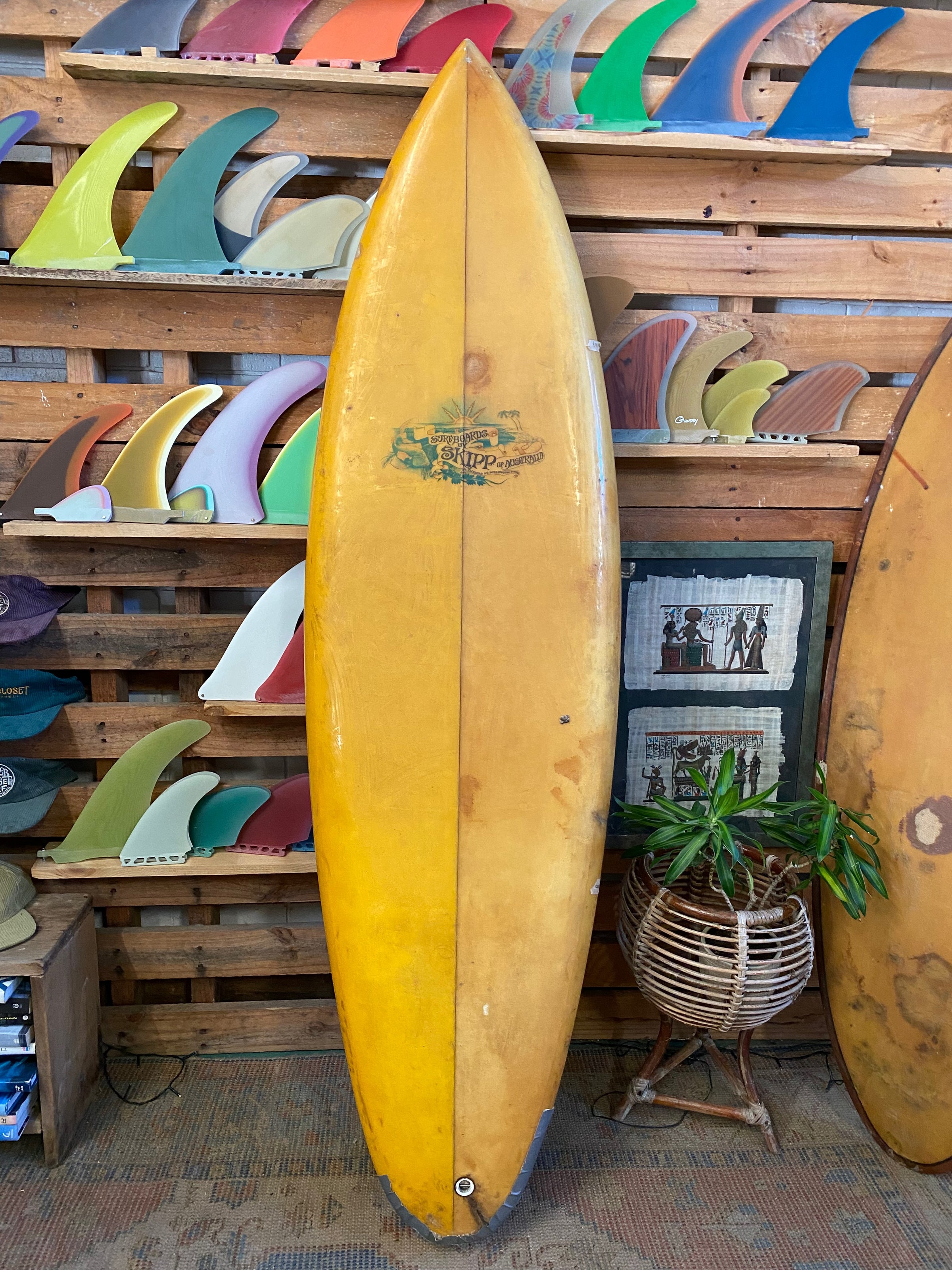 The Water Closet - SURF SHOP - Sawtell NSW AUSTRALIA - 2452. | Water Closet
