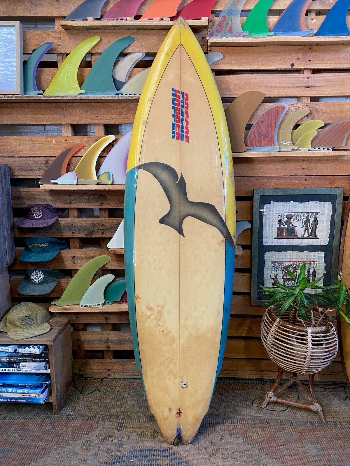 The Water Closet - SURF SHOP - Sawtell NSW AUSTRALIA - 2452. | Water Closet